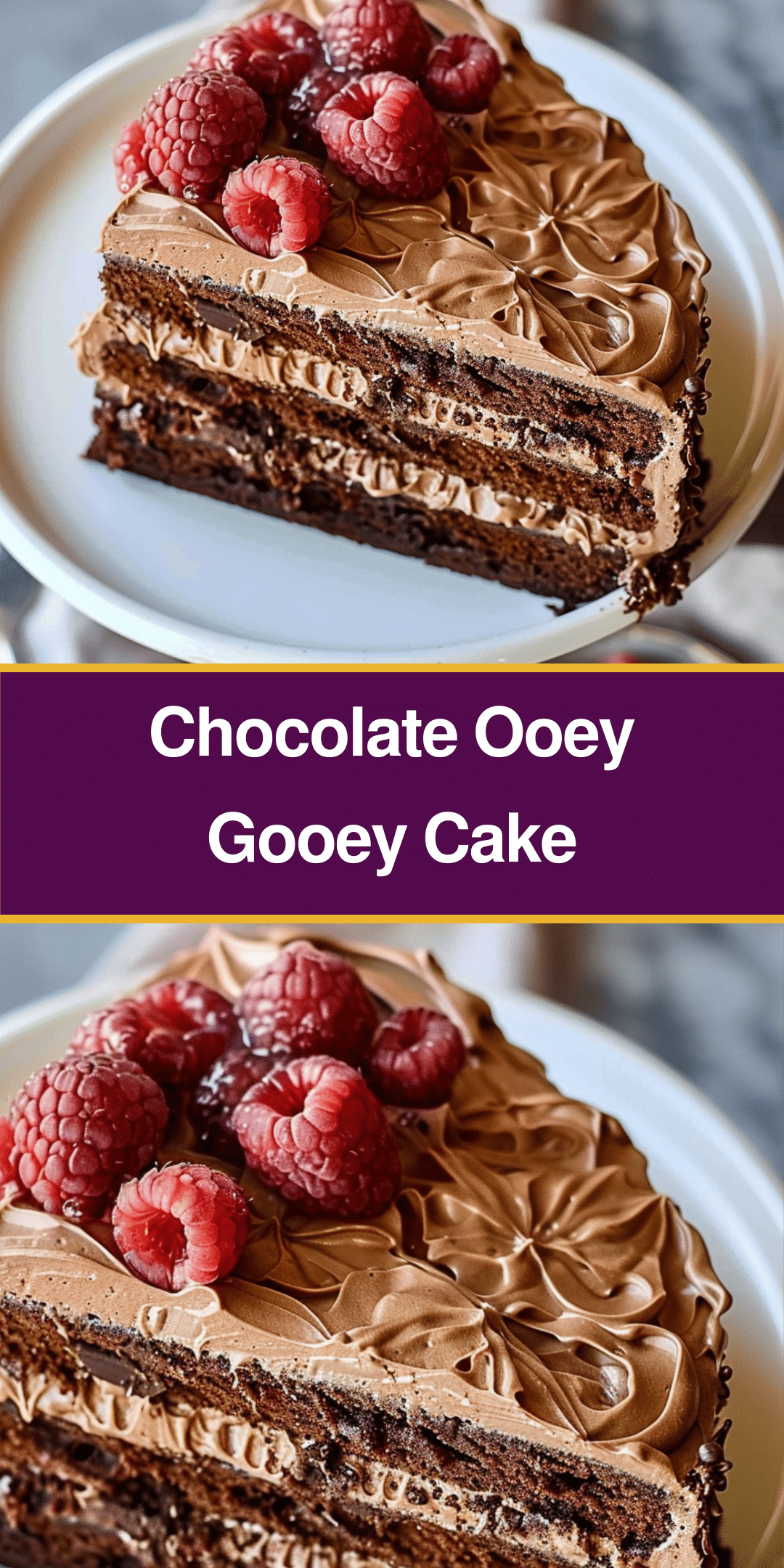 Easy Chocolate Ooey Gooey Cake - Recipes Smile